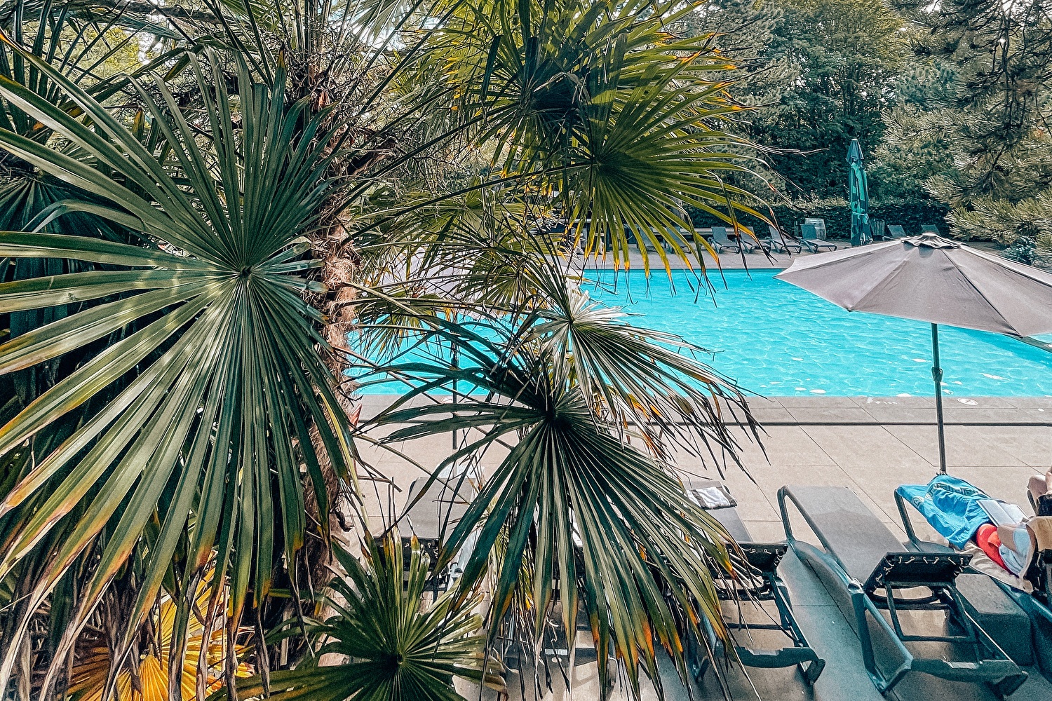 Badhotel Rockanje & Brasserie Lodgers | Officiële Website